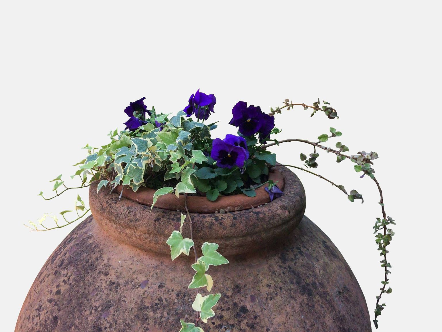 Intensity and the Grades of Nature. Heat, Colour, and Sound in the ...